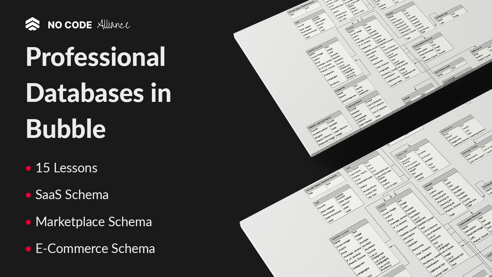 Professional Bubble Databases Course | NoCode Alliance